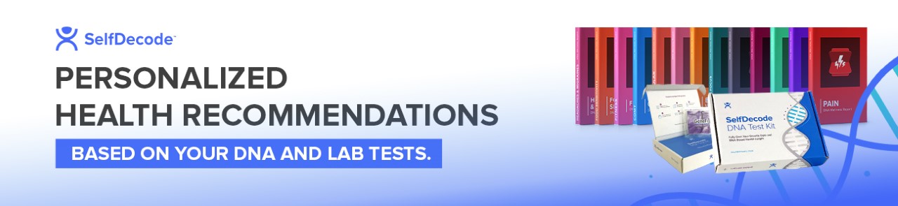 Steady-State Running: Why Zone 3 Training Matters